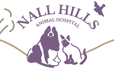 Hospital Tour - Nall Hills Animal Hospital